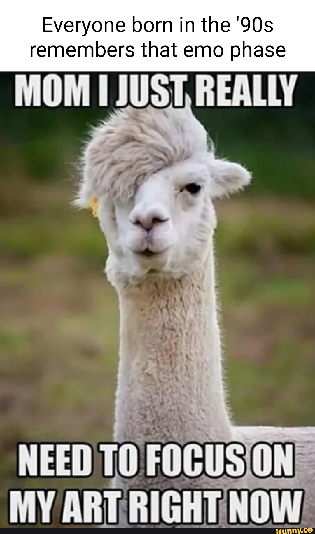 Everyone born in the remembers that emo phase MOM I I JUST REALLY NEED ...