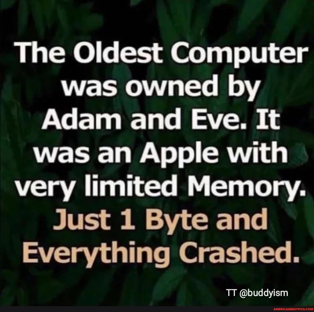 The Oldest Computer was owned by Adam and Eve. It was an Apple with ...