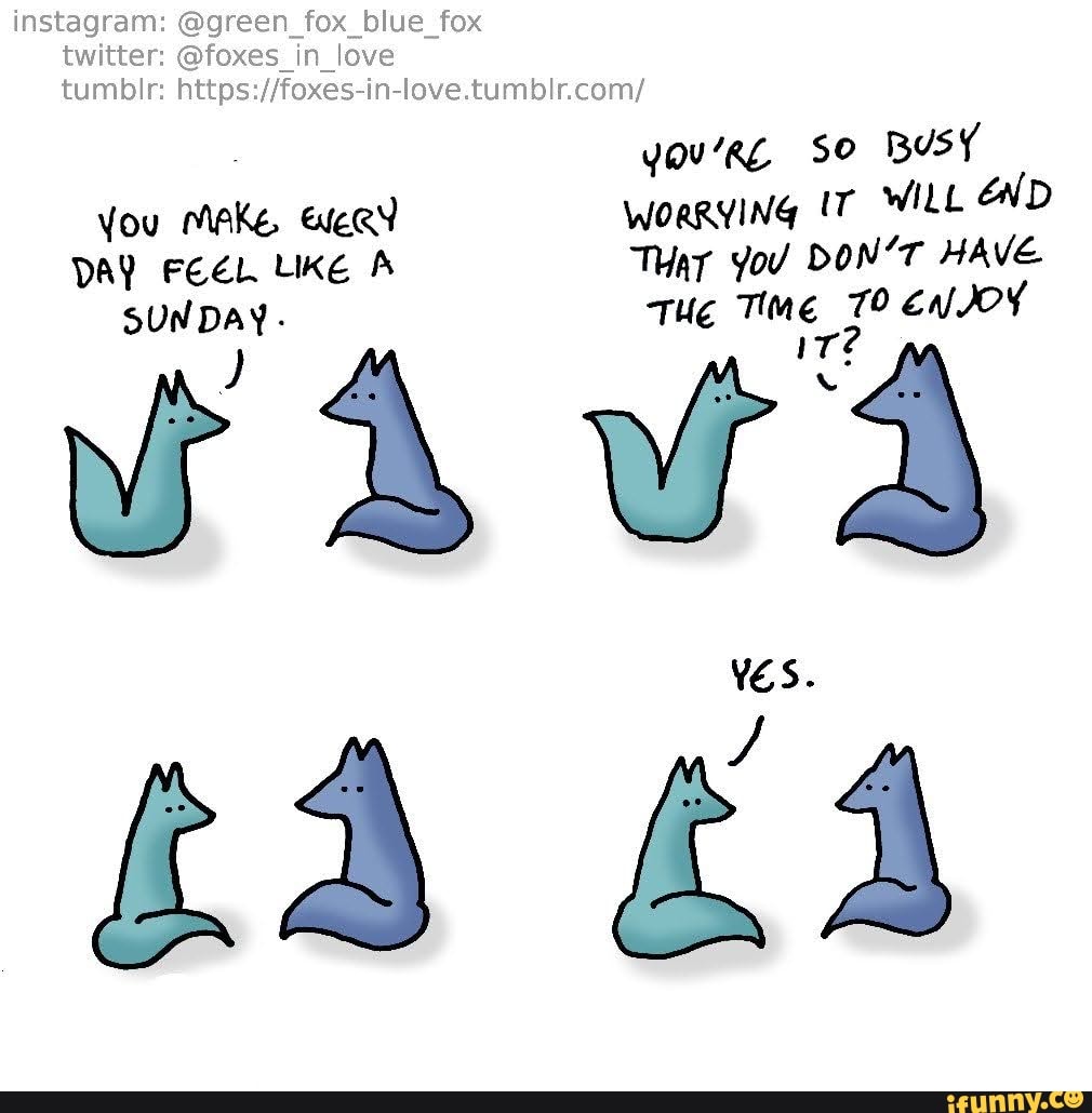 Instagram: @green_fox_blue_fox twitter: @foxes_in_love BUSY MILL DAY ...