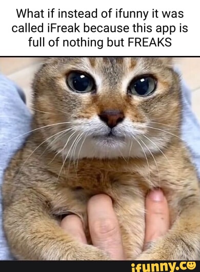 Freaks memes. Best Collection of funny Freaks pictures on iFunny