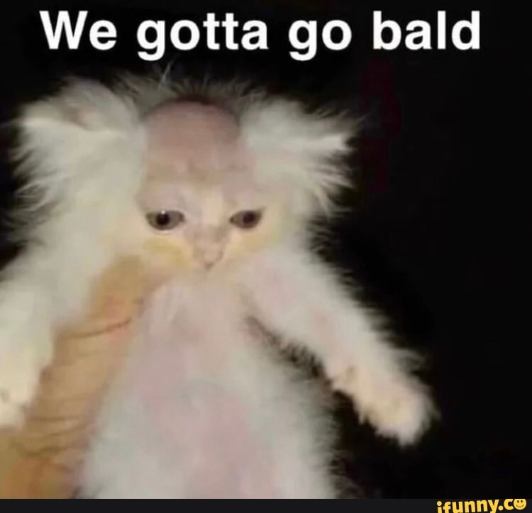 We Gotta Go Bald we-gotta-go-bald