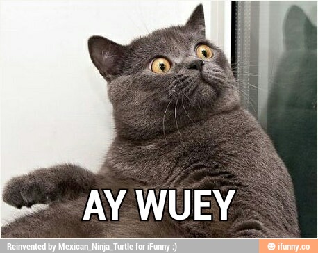 Wuey memes. Best Collection of funny Wuey pictures on iFunny