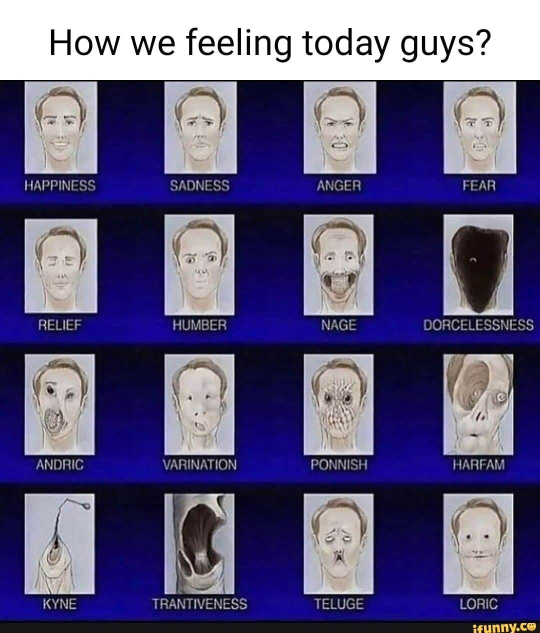 HAPPINESS RELIEF SADNESS VARINATION TRANTIVENESS ANGER HUMBER NAGE PONN ...