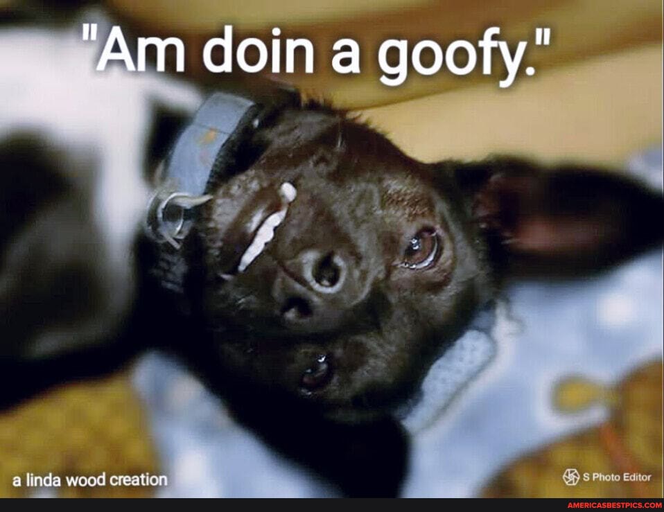 'Am doin a goofy." - America’s best pics and videos