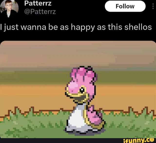 Shellos memes. Best Collection of funny Shellos pictures on iFunny
