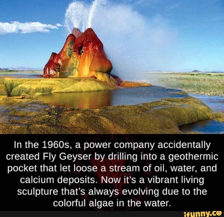 In the 1960s, a power company accidentally created Fly Geyser by ...