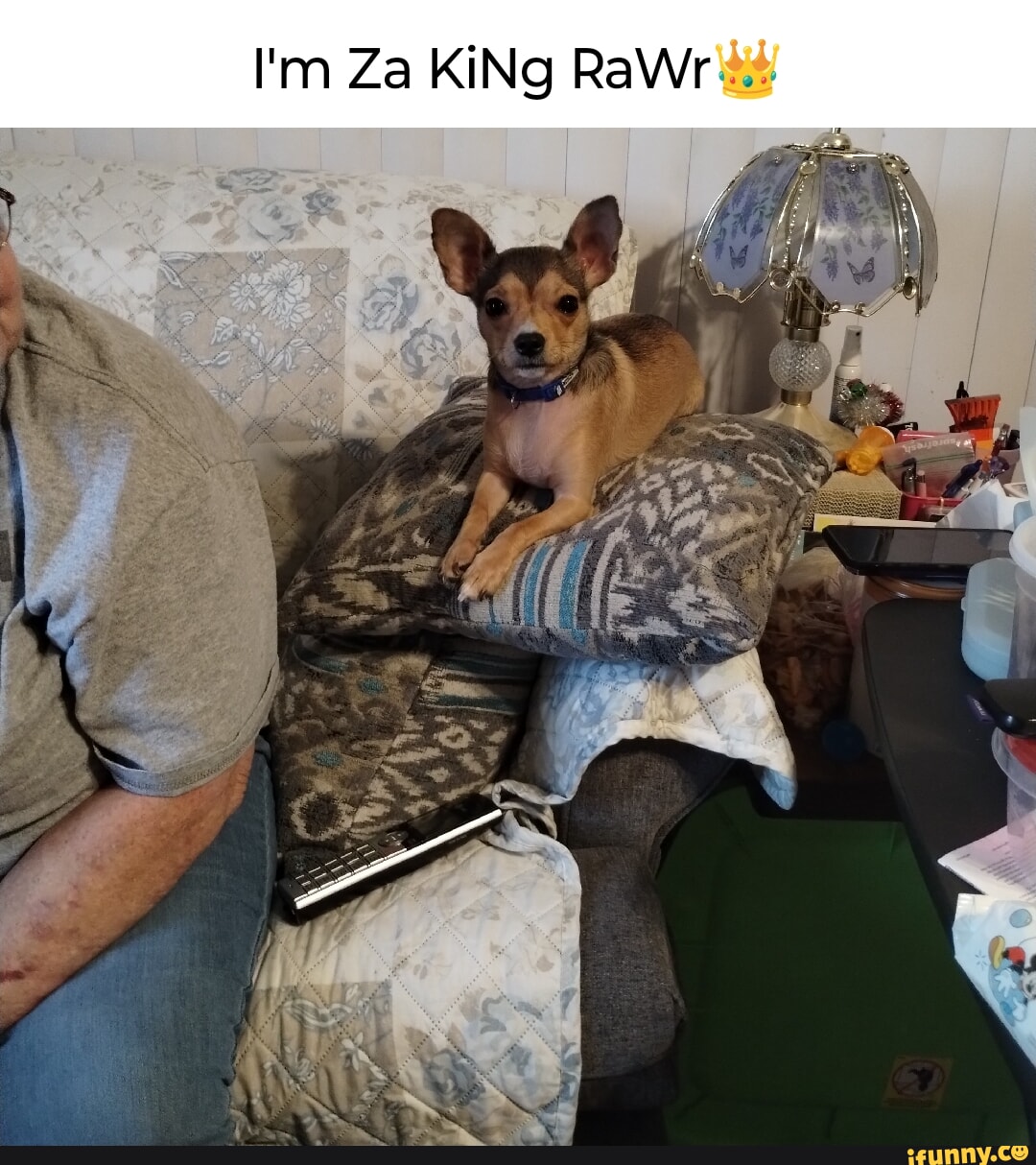 Rawr memes. Best Collection of funny Rawr pictures on iFunny