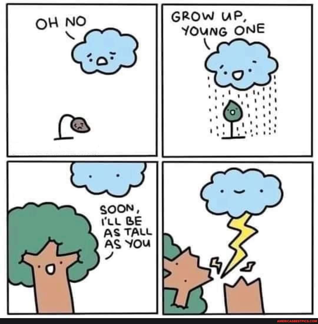 #memechallenge #memes #meme #trending #viral #facebookmemes #dankmemes ...
