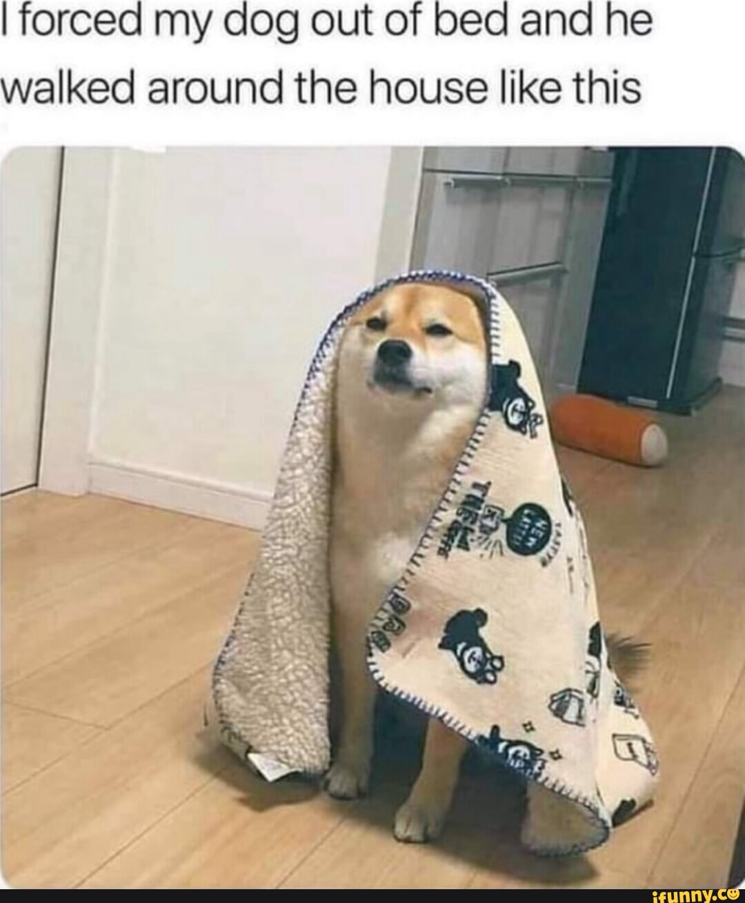 Why doesn't the big sheldon absorb the little sheldon? is he stupid I ...