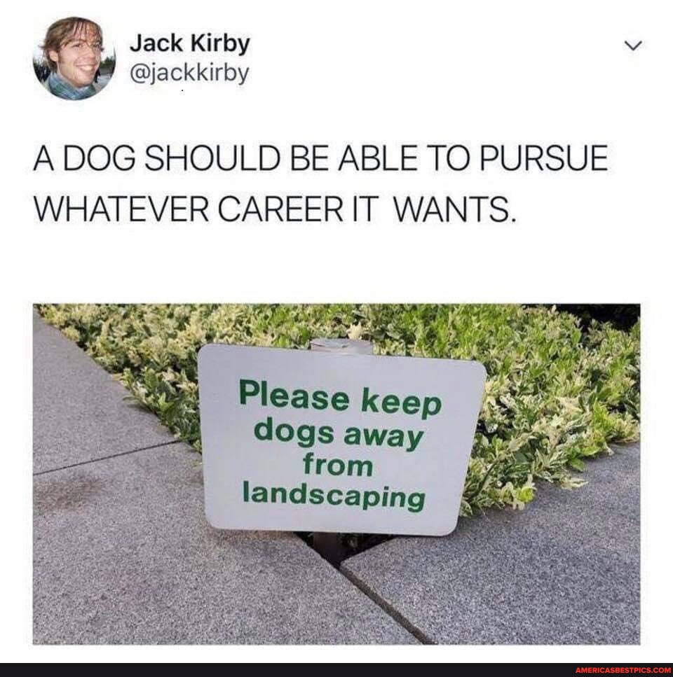 Follow @plzdontstopthememes #memes #meme #memesdaily #memes😂 #funny # ...