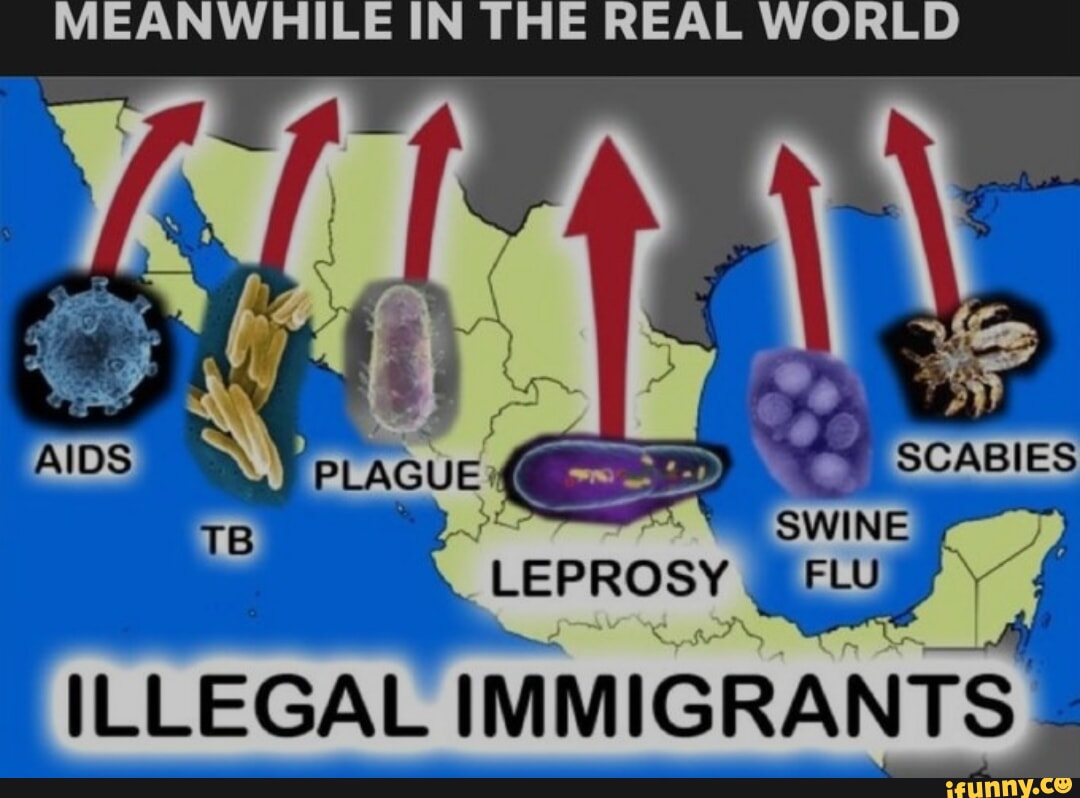 Scabies memes. Best Collection of funny Scabies pictures on iFunny