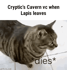 Cryptics memes. Best Collection of funny Cryptics pictures on iFunny