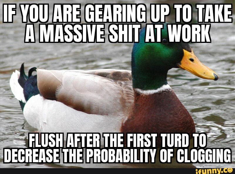 IF YOU ARE GEARING UP TAKE A MASSIVE SHIT AT WORK Av FLUSH AFTER THE ...