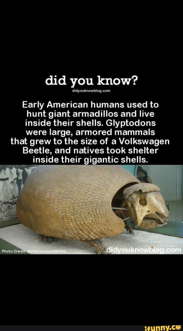 Did you know? chtyoukinowbtoiscom Early American humans used to hunt ...
