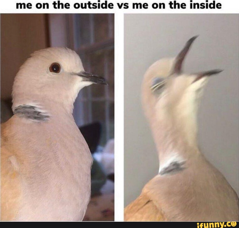 Dove memes. Best Collection of funny Dove pictures on iFunny