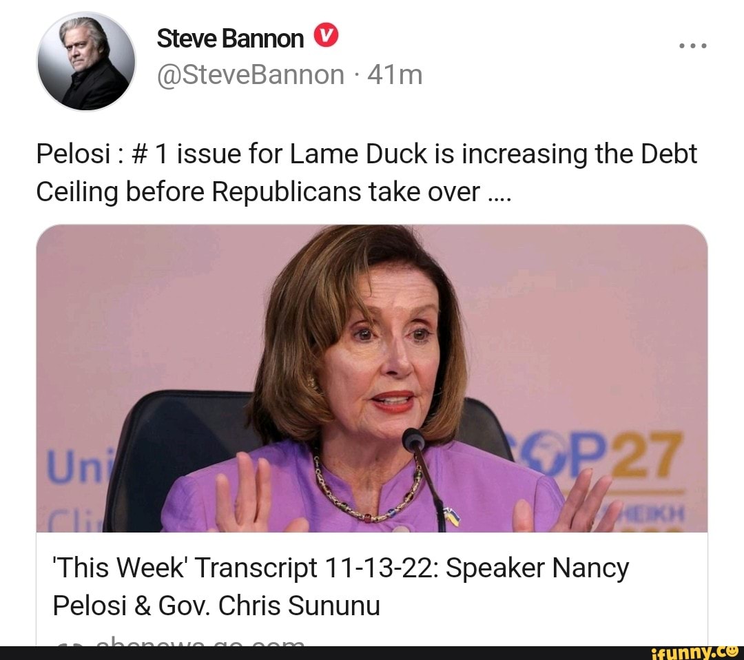 Steve Bannon Y) g @SteveBannon Pelosi : #1 issue for Lame Duck is ...
