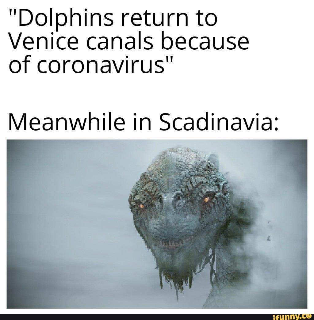"Dolphins return to Venice canals because of coronavirus" Meanwhile in ...