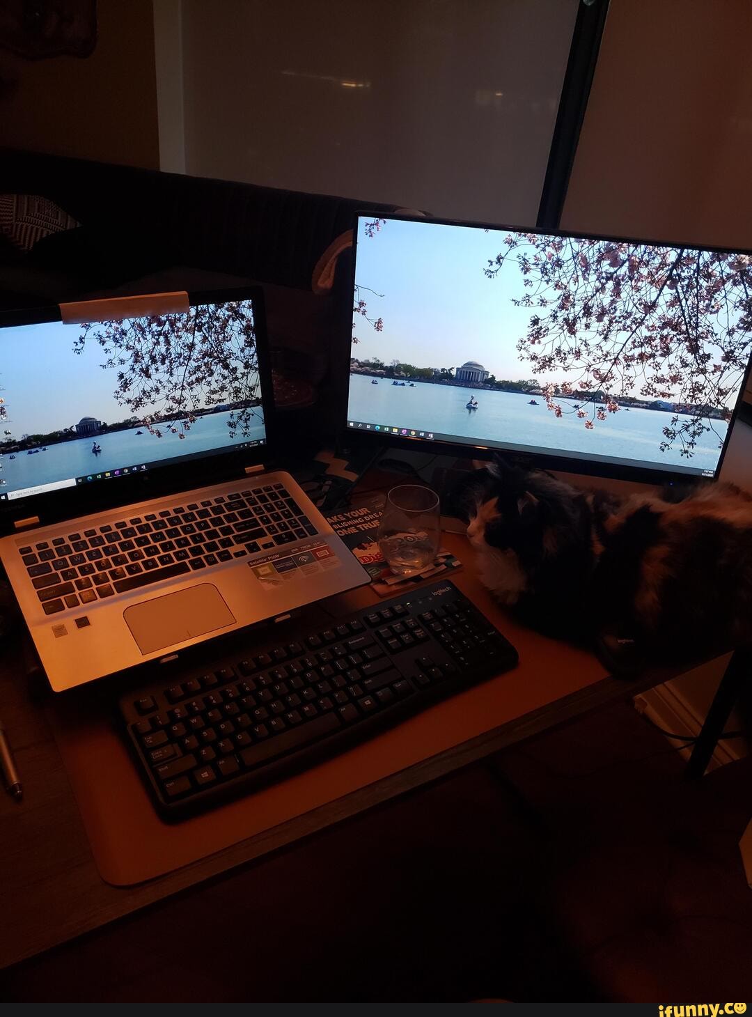 Blocking the mouse, slow creeping towards the keyboard. - iFunny