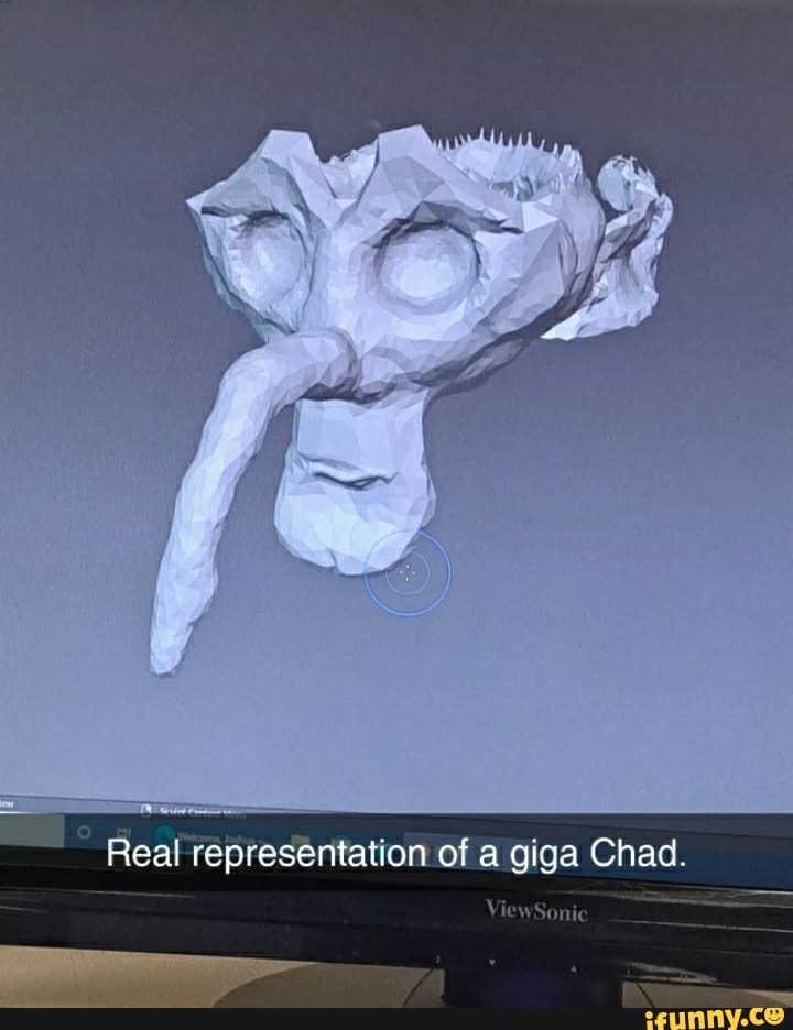 Real representation of a giga Chad. View - iFunny