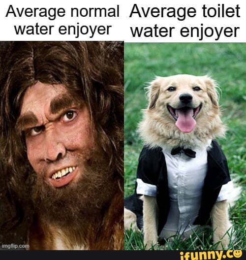 Average normal Average toilet water enjoyer water enjoyer - iFunny
