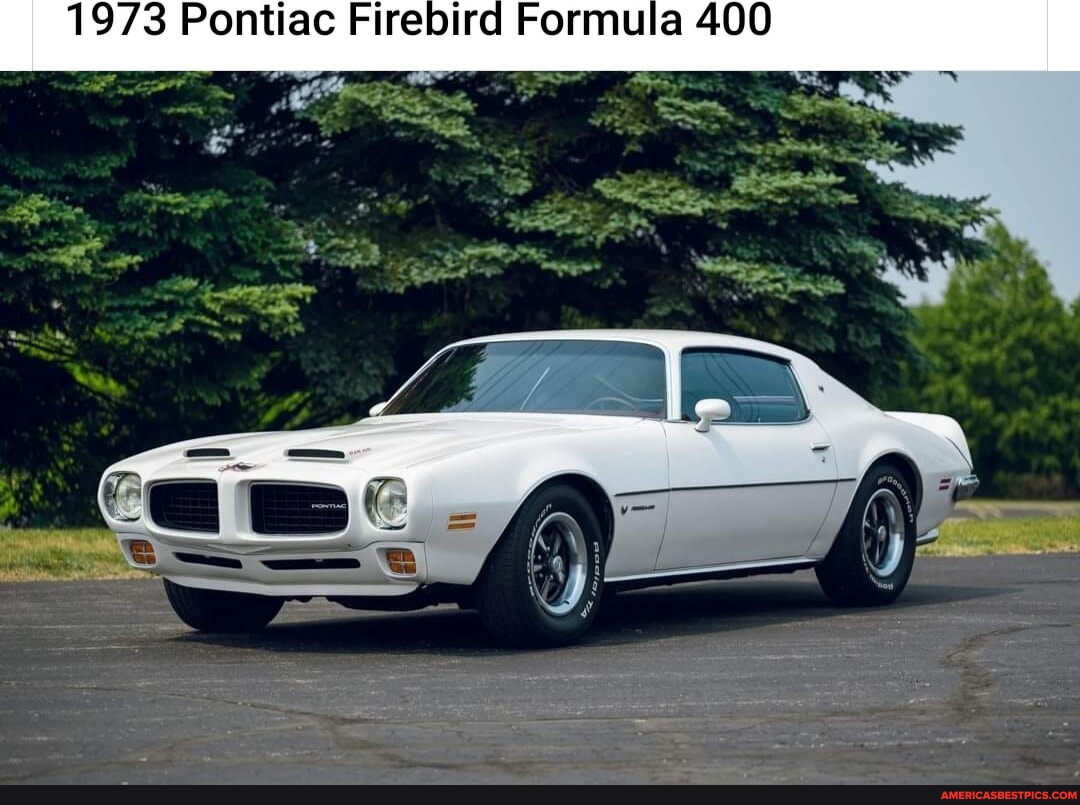 I 1973 Pontiac Firebird Formula 400 dd - America’s best pics and videos