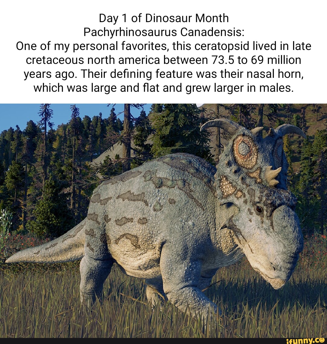 Day 1 of Dinosaur Month Pachyrhinosaurus Canadensis: One of my personal ...