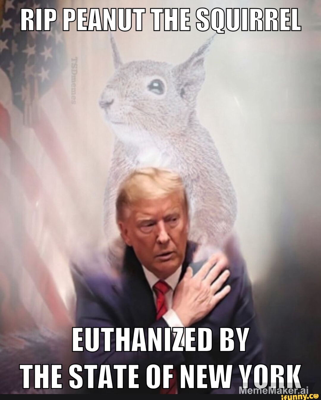 RIP PEANUT THE SQUIRREL EUTHANIZED BY THE STATE OF NEW VORK - iFunny