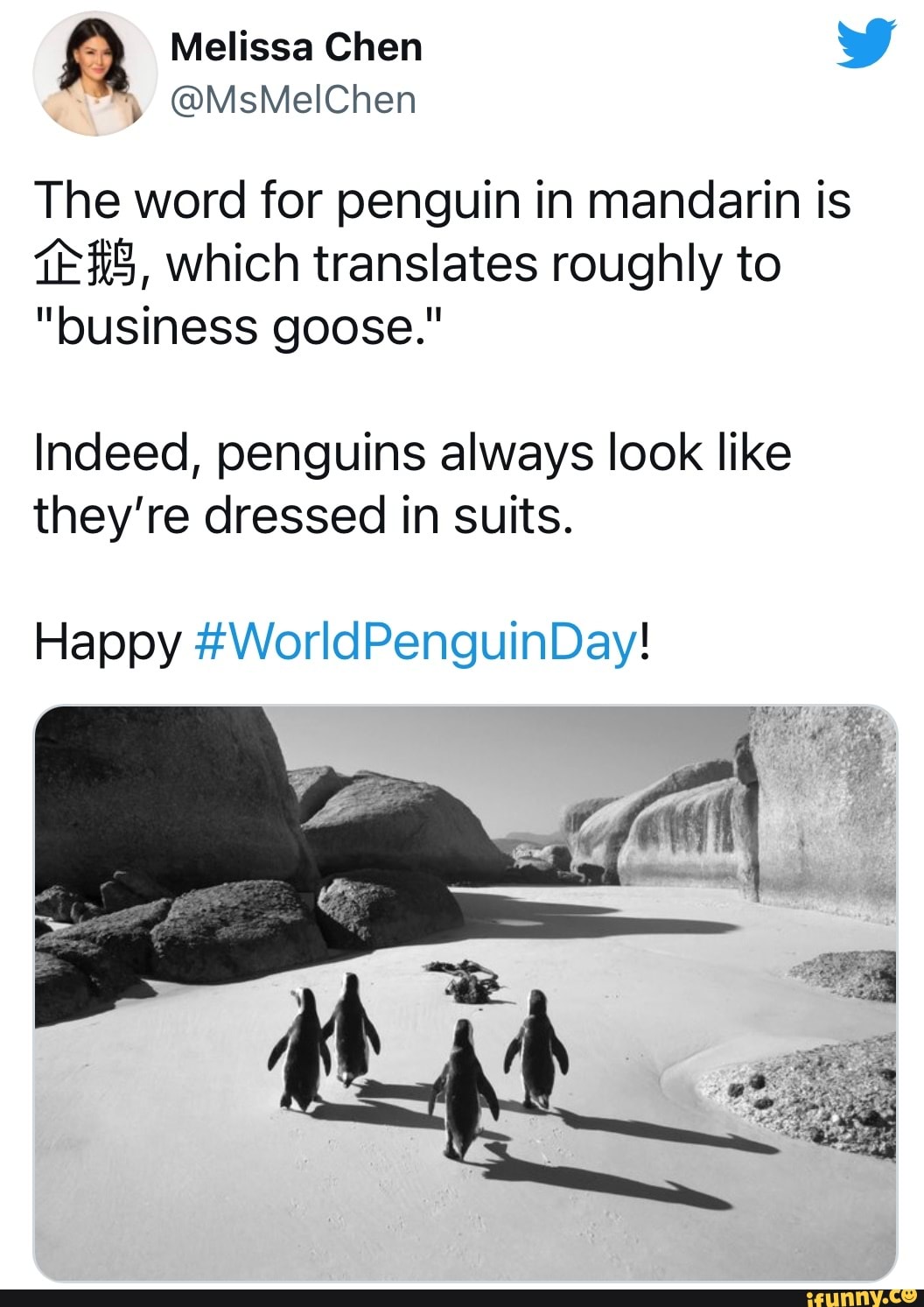 Penguinarchive memes. Best Collection of funny Penguinarchive pictures ...