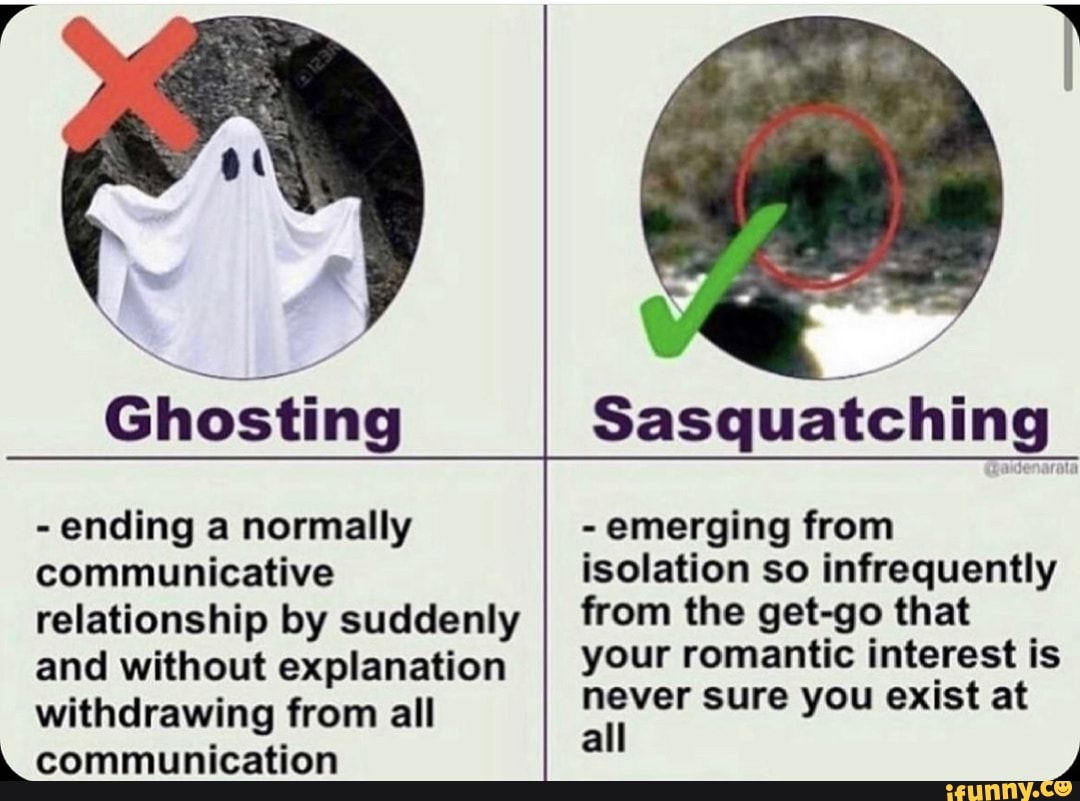 Sasquatching memes. Best Collection of funny Sasquatching pictures on ...