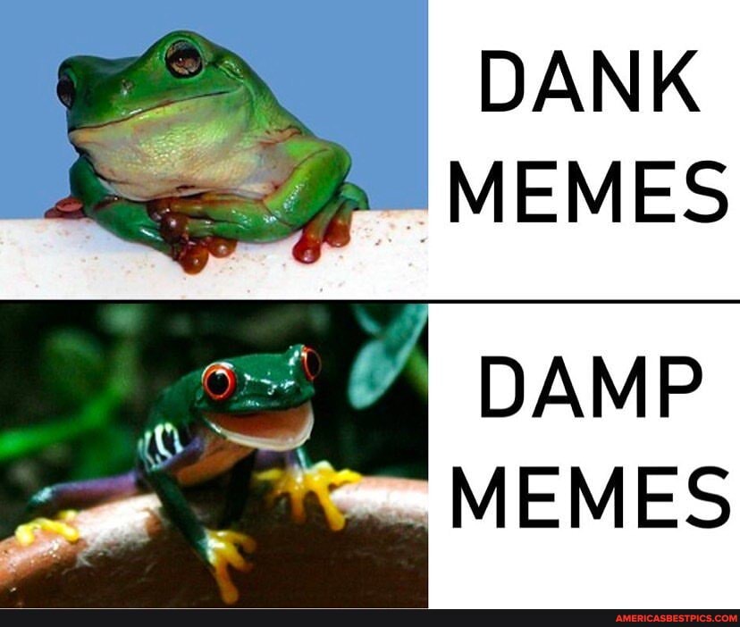 DANK MEMES DAMP 'MEMES - America’s best pics and videos