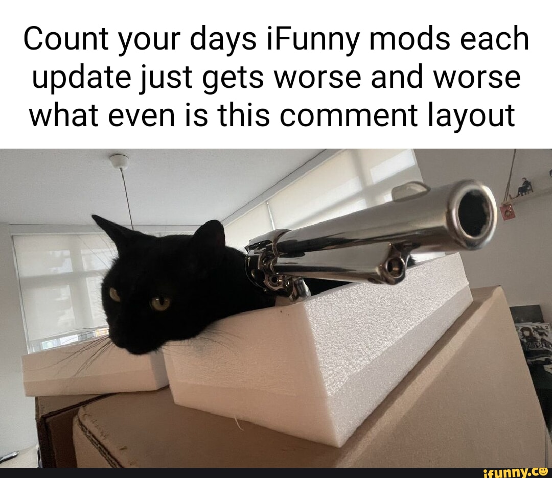 Layout memes. Best Collection of funny Layout pictures on iFunny