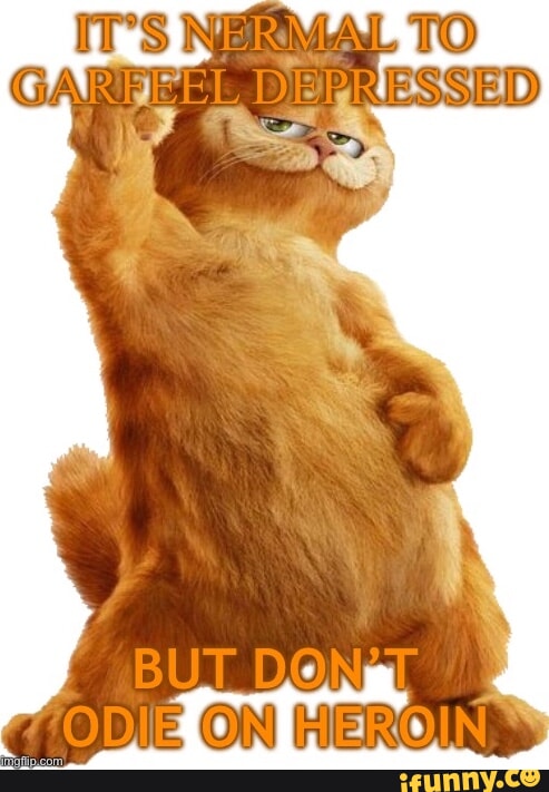 Odie memes. Best Collection of funny Odie pictures on iFunny