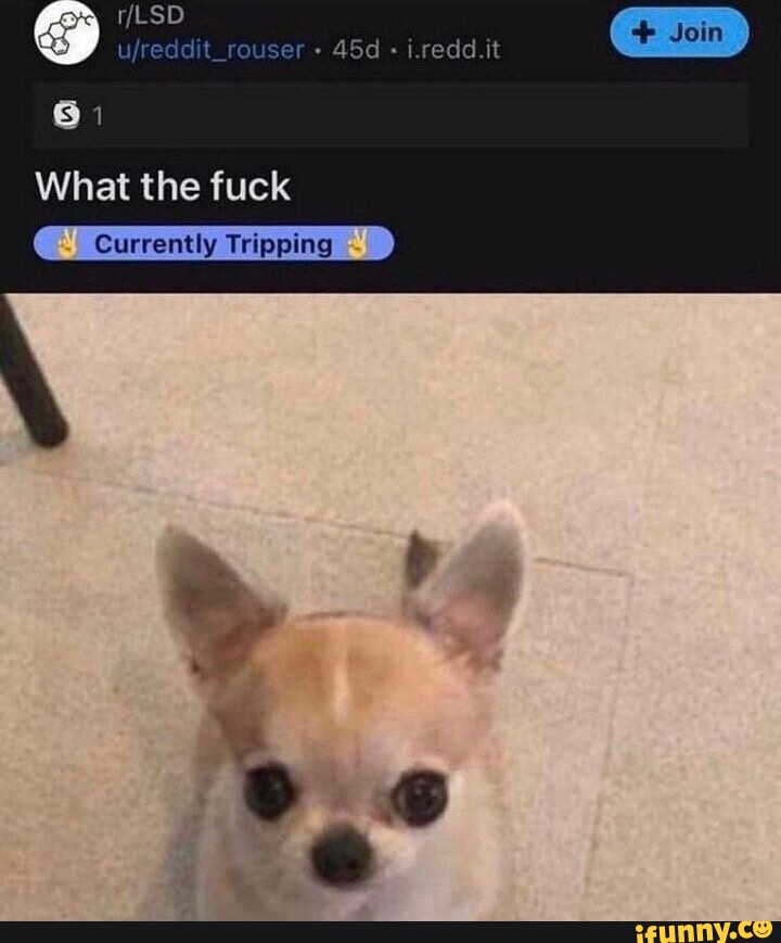 Rouser memes. Best Collection of funny Rouser pictures on iFunny