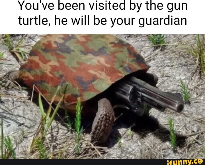 You ve been visited by the gun turtle, he will be your guardian - iFunny