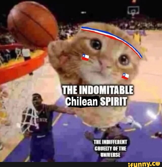 Indomitable memes. Best Collection of funny Indomitable pictures on iFunny