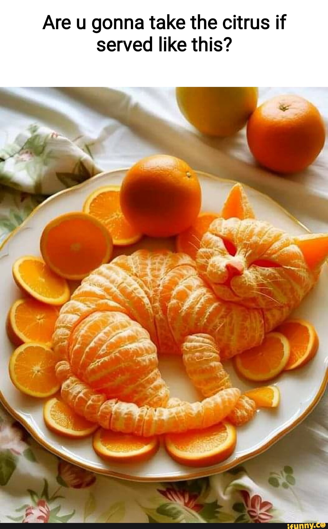 Citrus memes memes. The best memes on iFunny