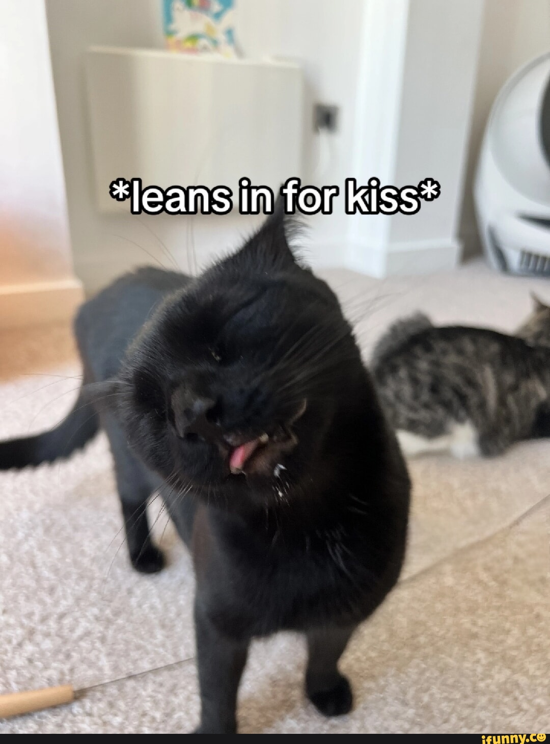 Ty Leans In For Kiss Ifunny