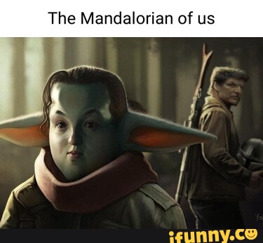 Mandolin memes. Best Collection of funny Mandolin pictures on iFunny