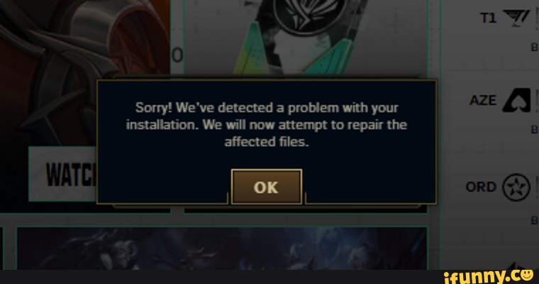 Sorry! We've detected a problem with your installation. We will now ...