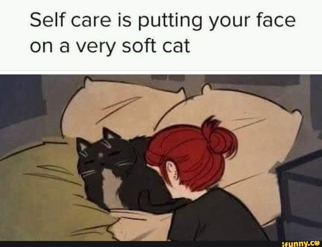 Softkitty memes. Best Collection of funny Softkitty pictures on iFunny