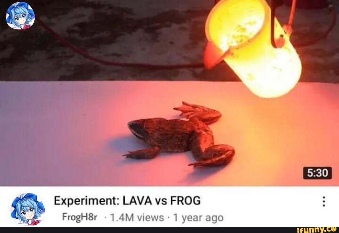 Experiment: LAVA vs FROG FrogH8r - 1.4M views 1 year ago - iFunny