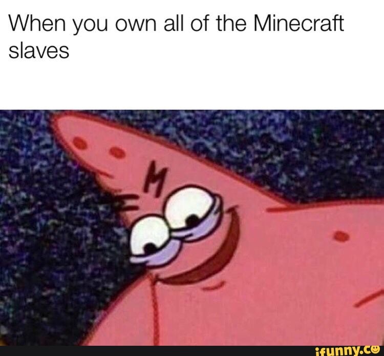 When you own all of the Minecraft slaves - iFunny