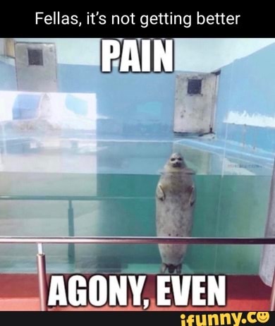 Fellas, it's not getting better PAIN AGONY, EVEN - iFunny