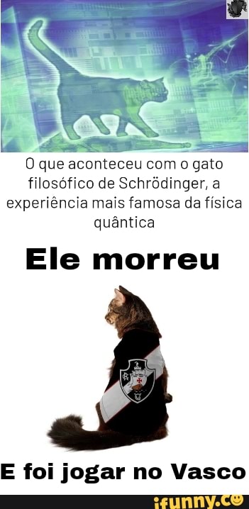 O que aconteceu com o gato filosófico de Schrôdinger, a experiência ...