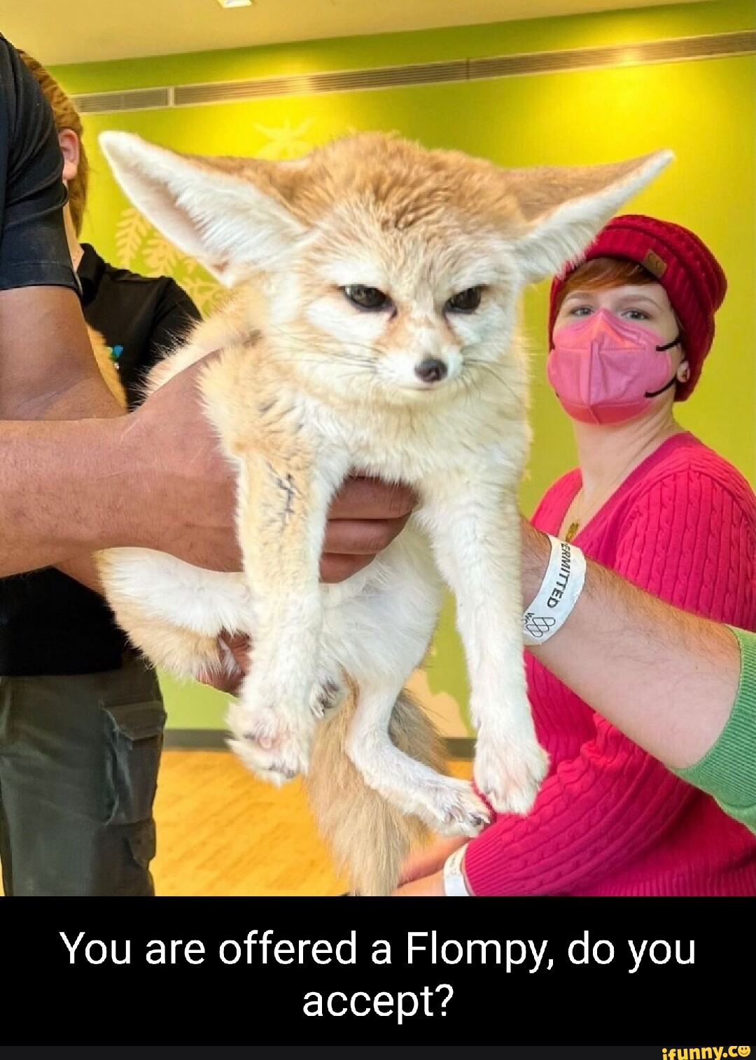 The kid with the eyebrows & Images Videos Cast Toy story Shopping G ...