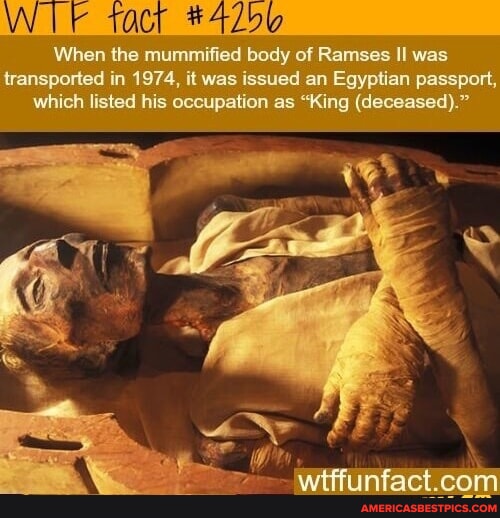 When the mummified body of Ramses Il was transported in 1974, it wag ...