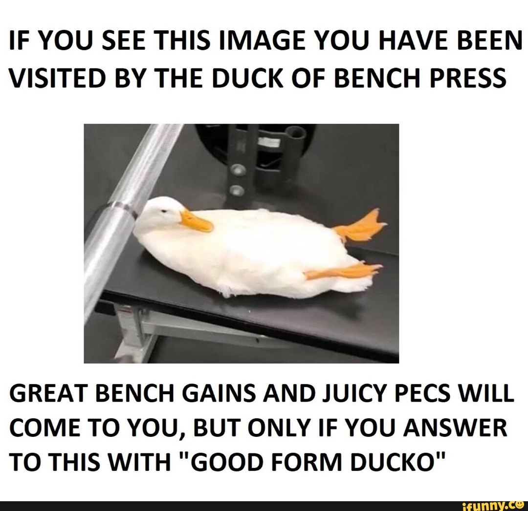 IF YOU SEE THIS IMAGE YOU HAVE BEEN VISITED BY THE DUCK OF BENCH PRESS ...