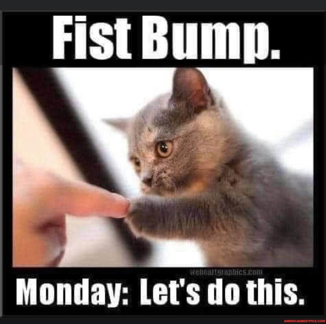 Fist Bump. Monday: Let's do this. - America’s best pics and videos