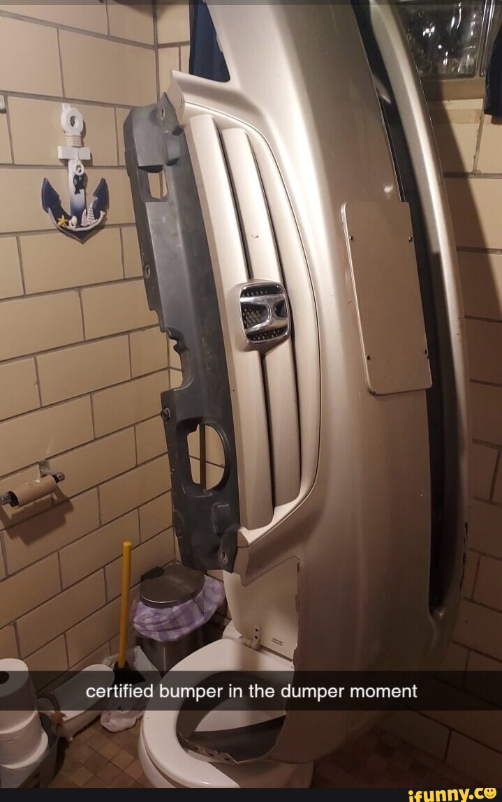 Dumper memes. Best Collection of funny Dumper pictures on iFunny