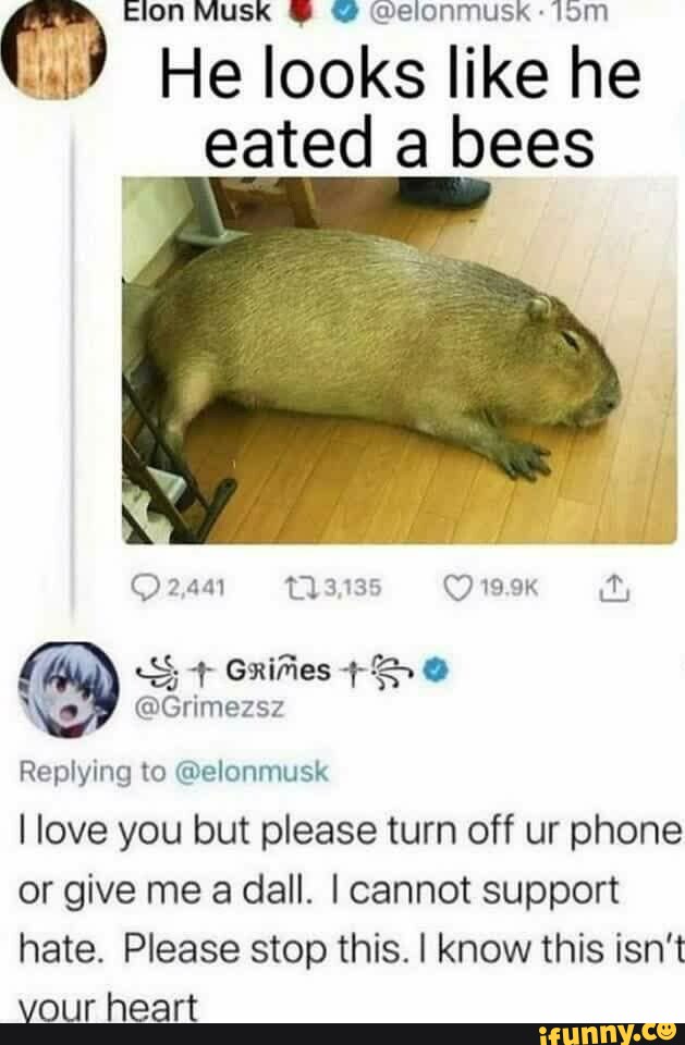 Elon Musk @ & @elonmuskK: tom He looks like he eated a bees ty 19.9K SS ...